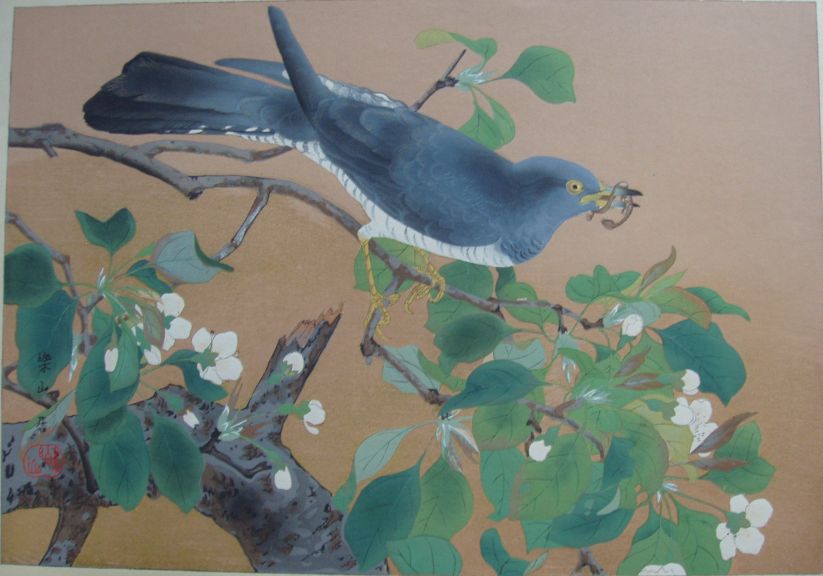 Rakusan.net home articles gallery links contact