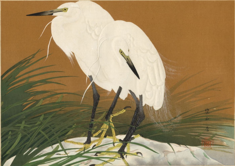 Rakusan.net home articles gallery links contact