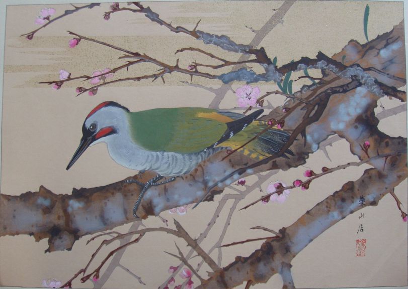 Rakusan.net home articles gallery links contact