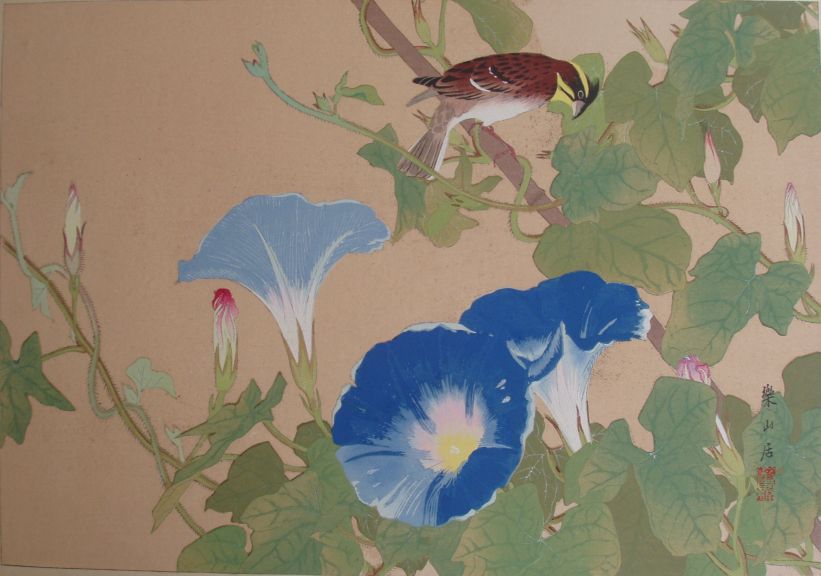 Rakusan.net home articles gallery links contact