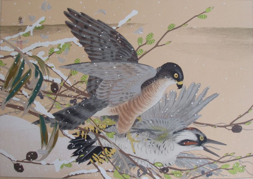 Rakusan.net home articles gallery links contact