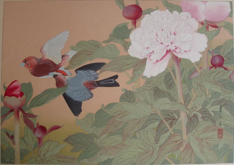 Rakusan.net home articles gallery links contact