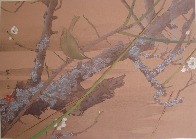 Rakusan.net home articles gallery links contact