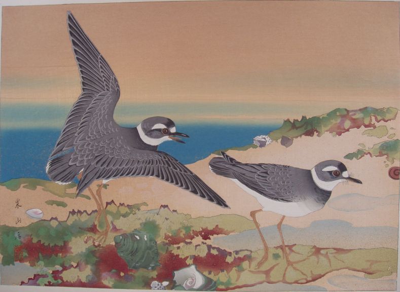 Rakusan.net home articles gallery links contact