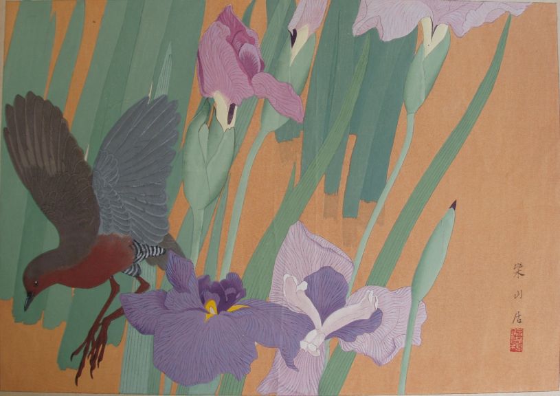 Rakusan.net home articles gallery links contact