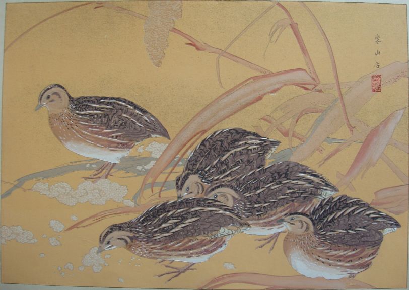 Rakusan.net home articles gallery links contact