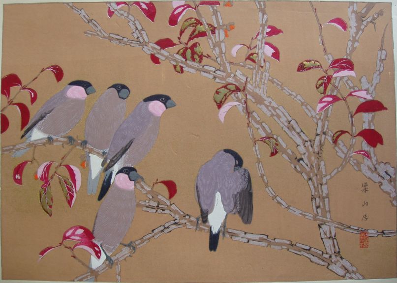 Rakusan.net home articles gallery links contact