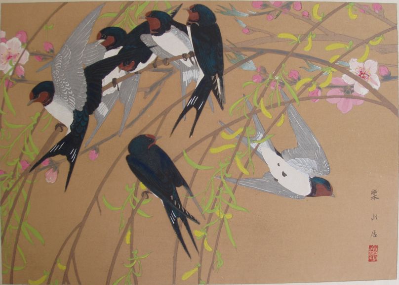 Rakusan.net home articles gallery links contact