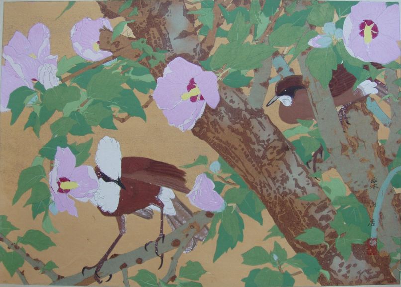 Rakusan.net home articles gallery links contact