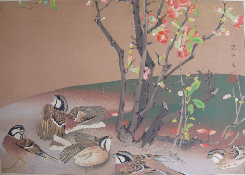 Rakusan.net home articles gallery links contact