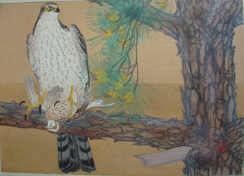 Rakusan.net home articles gallery links contact