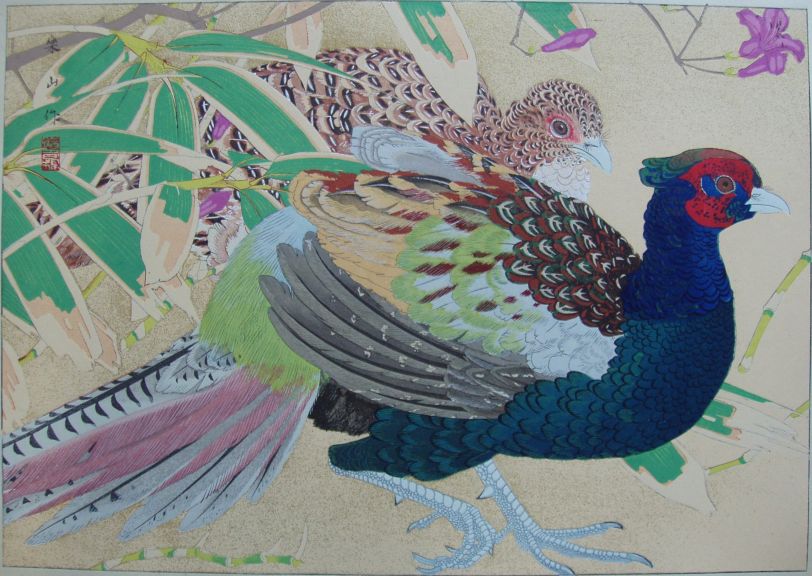 Rakusan.net home articles gallery links contact