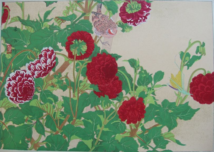 Rakusan.net home articles gallery links contact