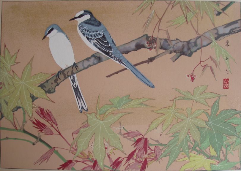 Rakusan.net home articles gallery links contact